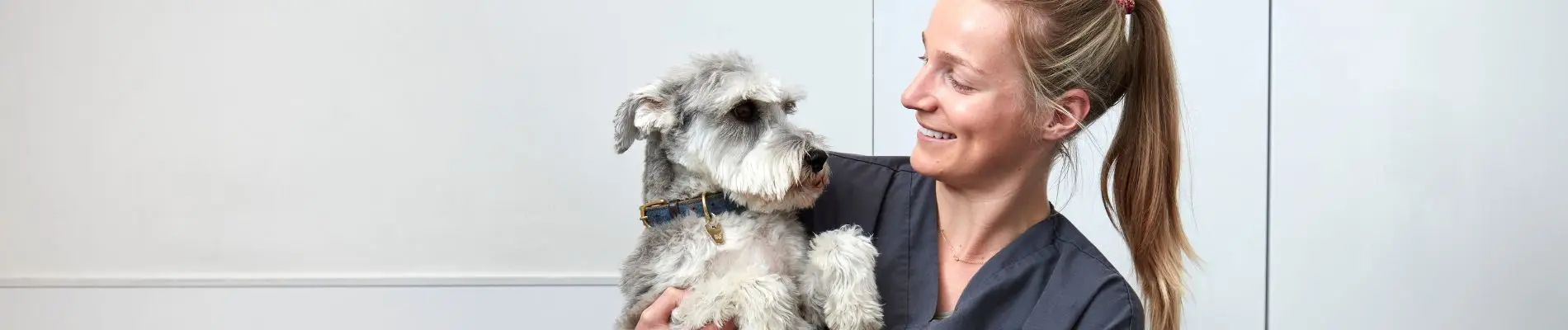 Understanding Kennel Cough in Dogs - Animal Clinic Veterinary Surgery